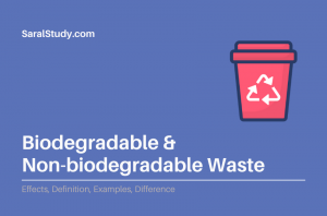 Biodegradable & Non-biodegradable Wastes - Effects, Definition, Examples