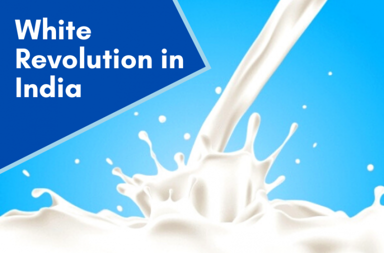 Learn About History & Impacts of White Revolution in India
