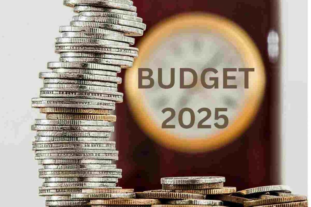 Budget 2025: Announcement, Economic Impact, Industry Insight